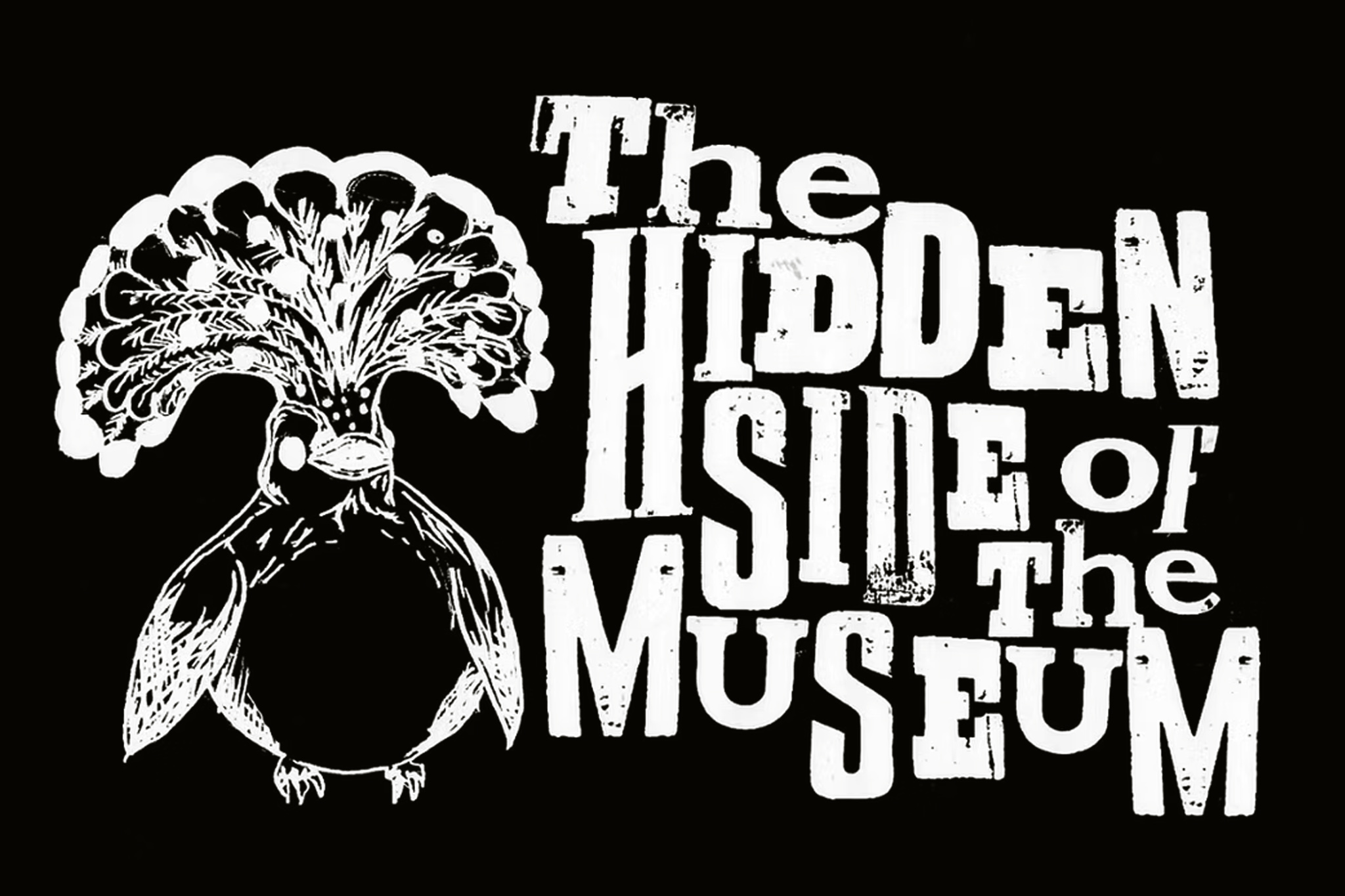 The Hidden Side of the Museum – Dorset Museum & Art Gallery