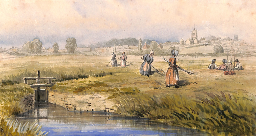 The Magic and Myth of Watermeadows | Dr Kathy Stearne – Dorset Museum ...