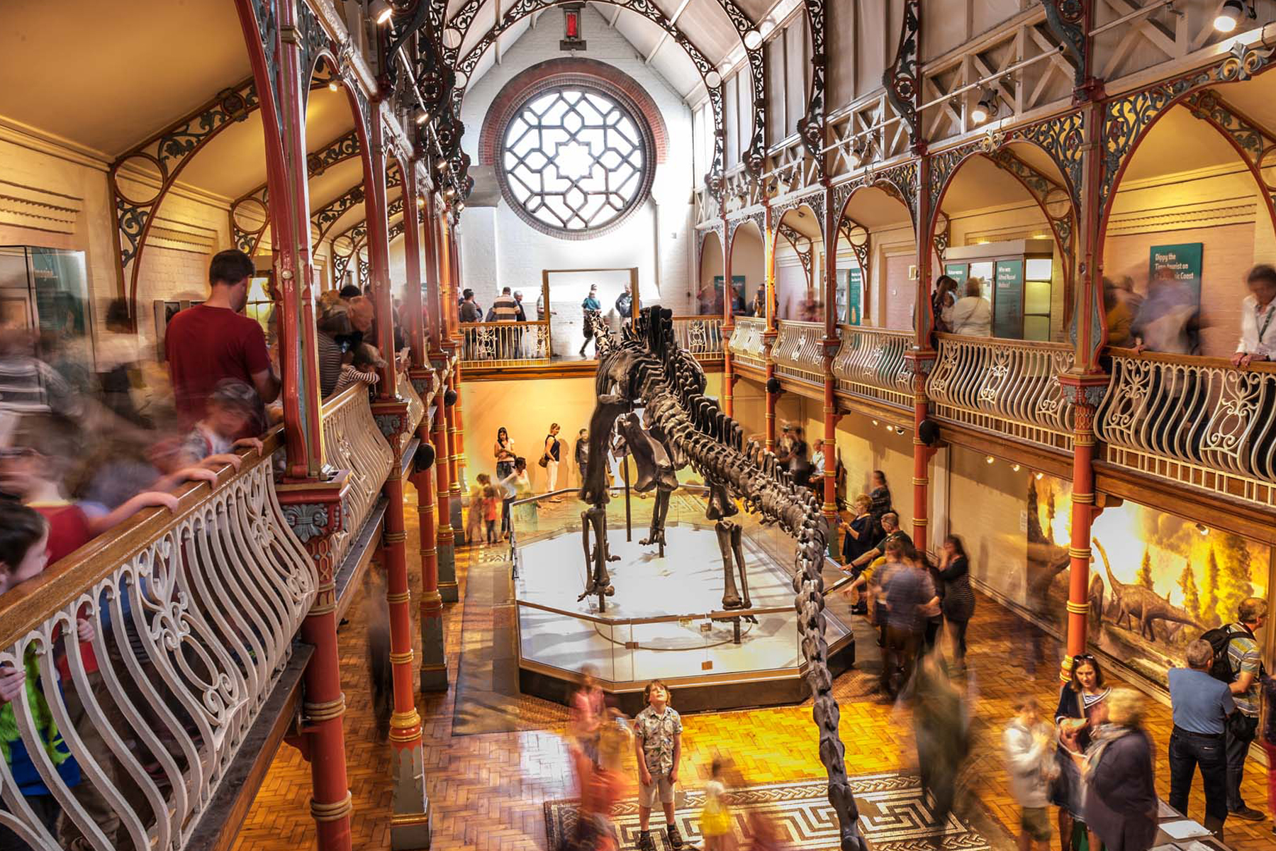 Dippy: He came, you visited, we conquered! - Dorset Museum & Art Gallery