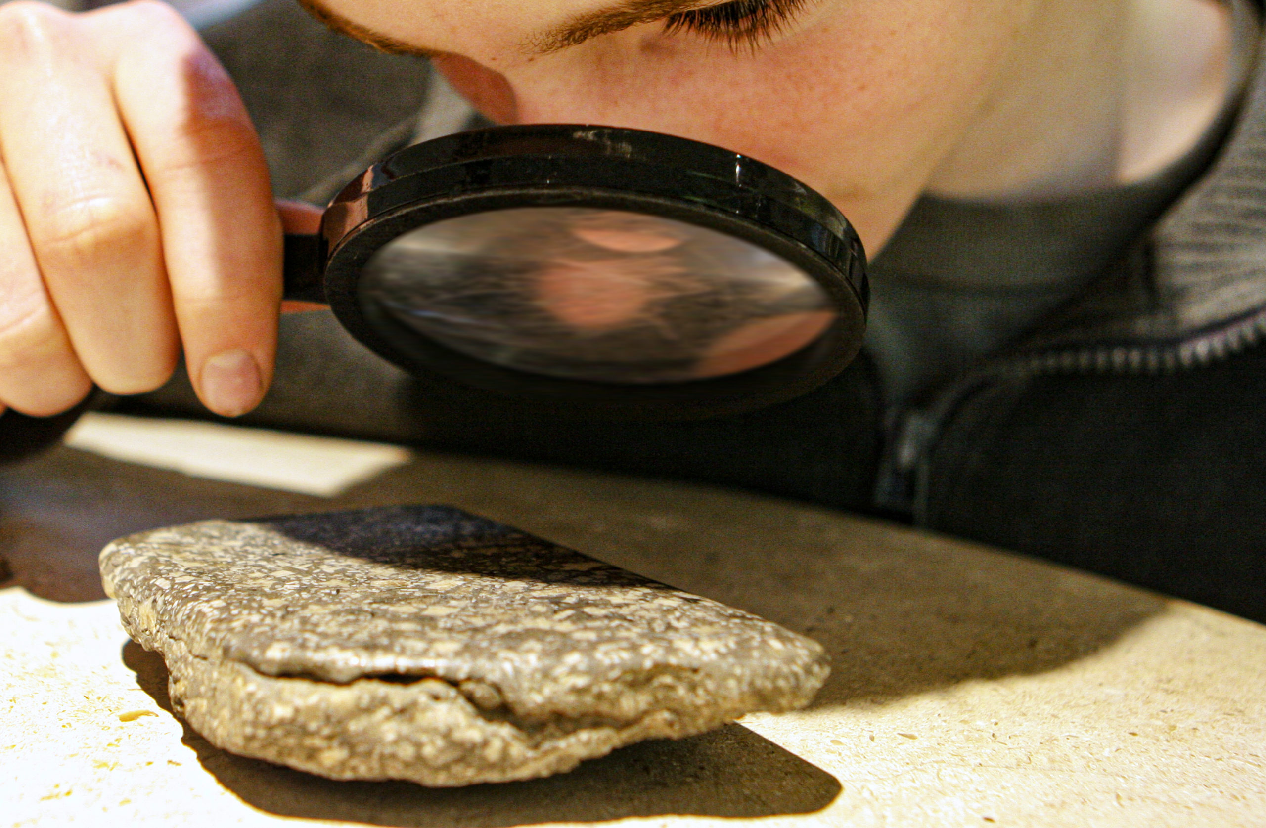 Protect the Planet Science Activity – Dorset Museum & Art Gallery Shop