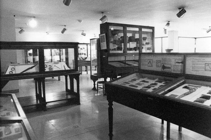 Our story - Dorset Museum & Art Gallery