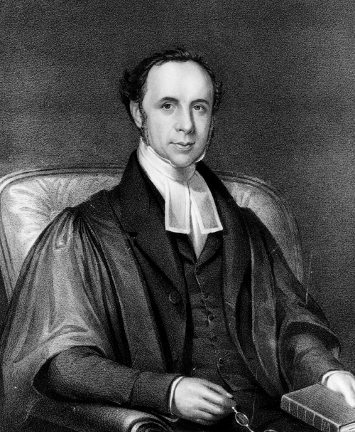 Our story - Dorset Museum & Art Gallery