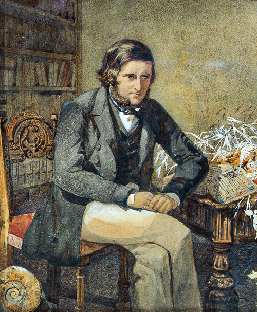 Trustees - Dorset Museum & Art Gallery