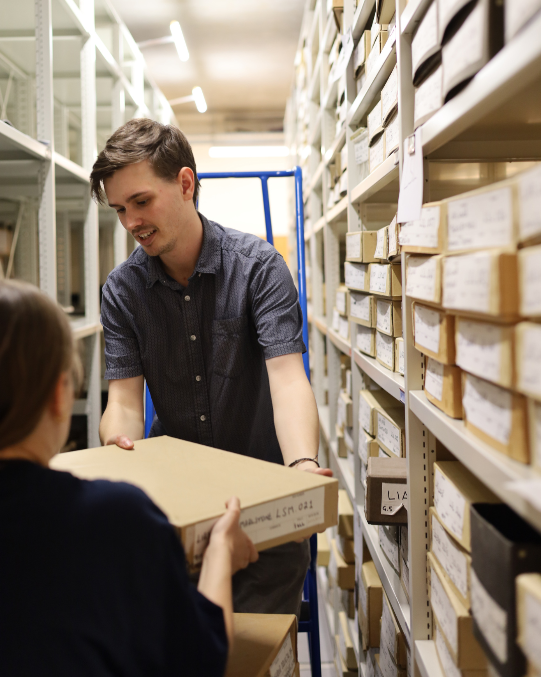 2024 in the Collections Store - Dorset Museum & Art Gallery