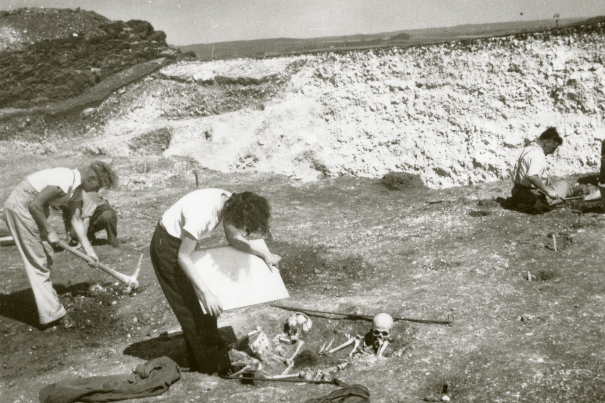 What's on - Dorset Museum & Art Gallery