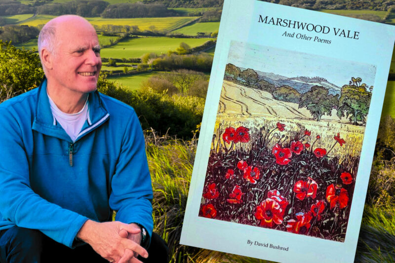 What's on - Dorset Museum & Art Gallery