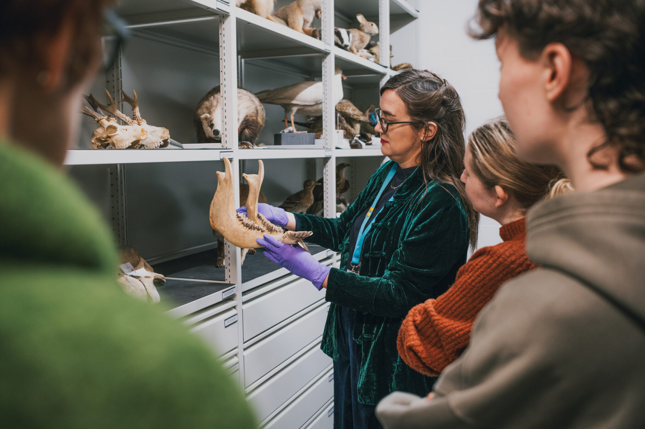 What's on - Dorset Museum & Art Gallery