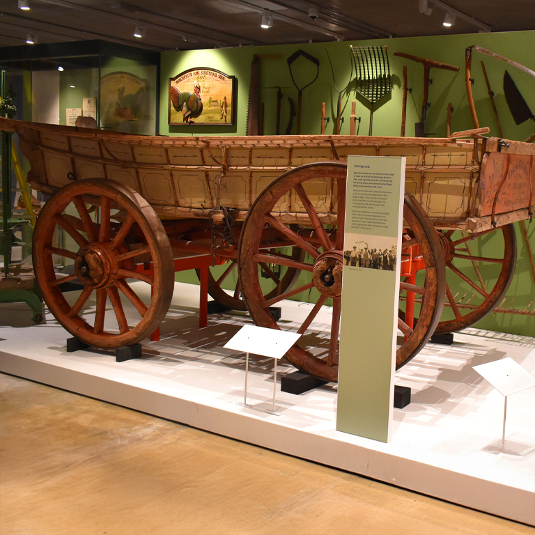 Collection - Dorset Museum & Art Gallery